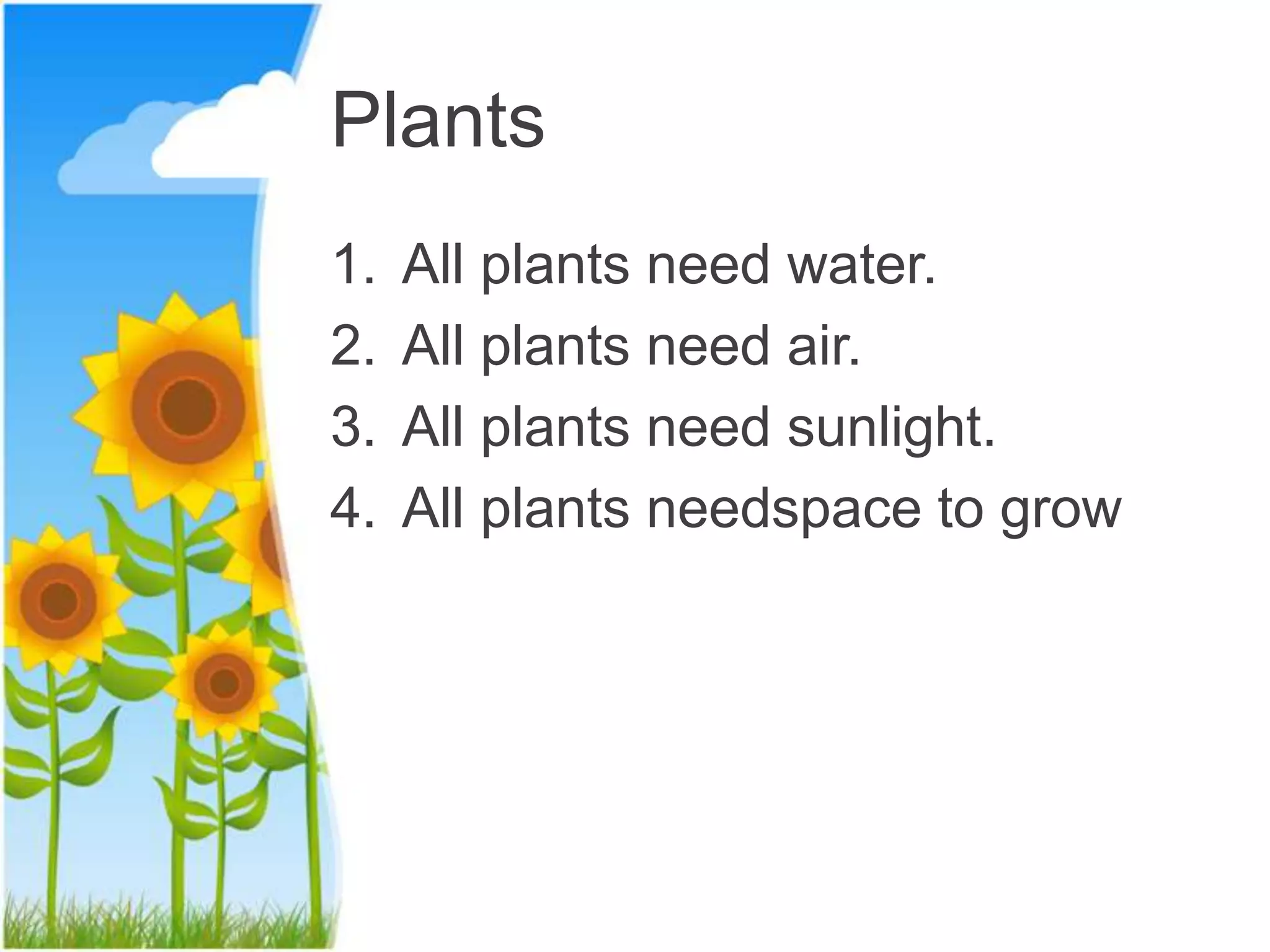 Basic needs power point | PPTX