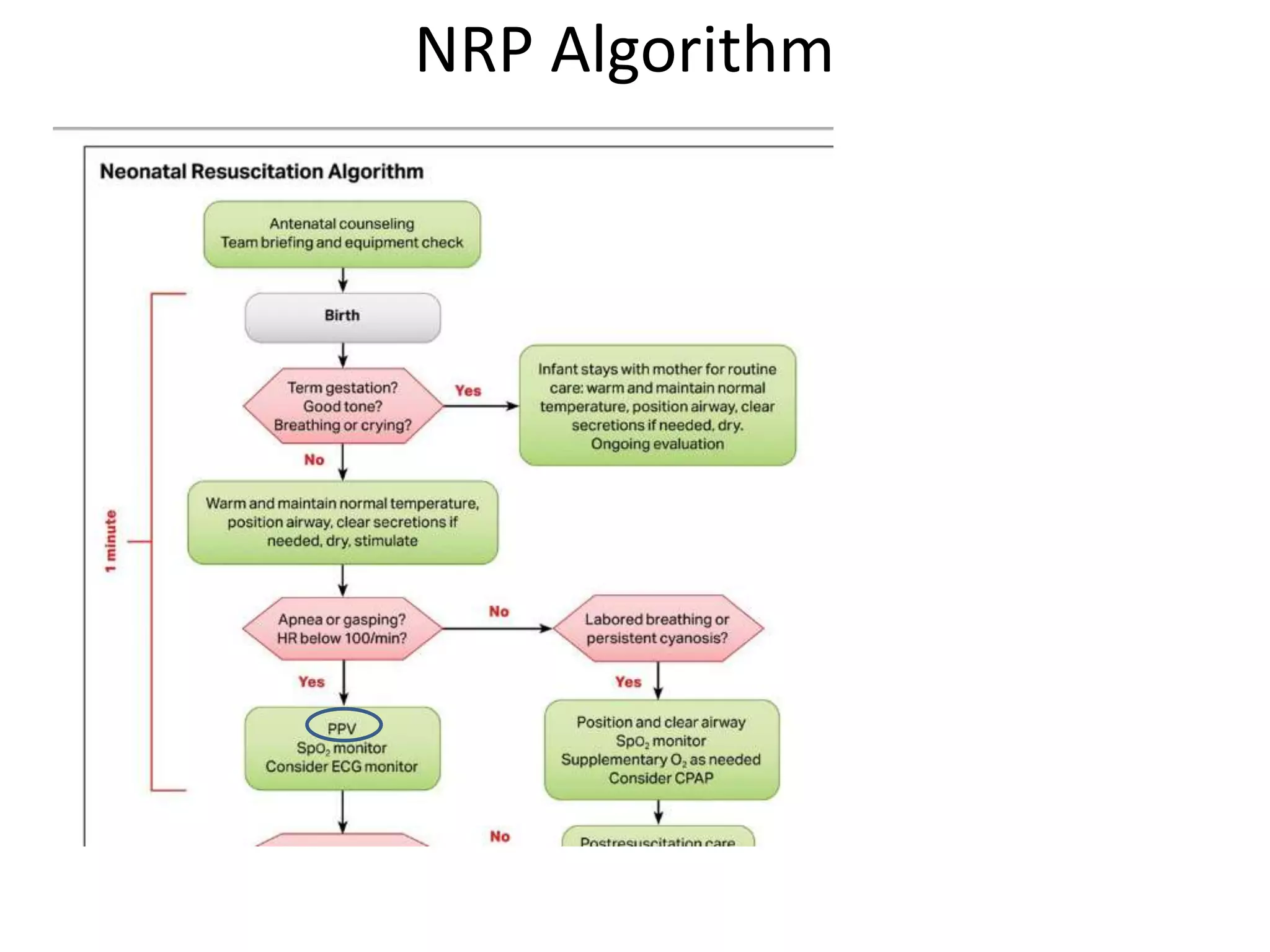 BASIC NEONATAL RESUSCITATION -Dr Habeeb.pptx