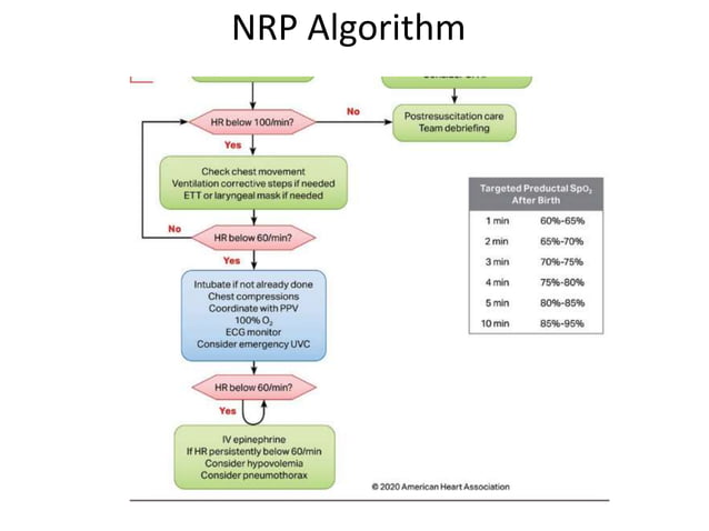 BASIC NEONATAL RESUSCITATION -Dr Habeeb.pptx