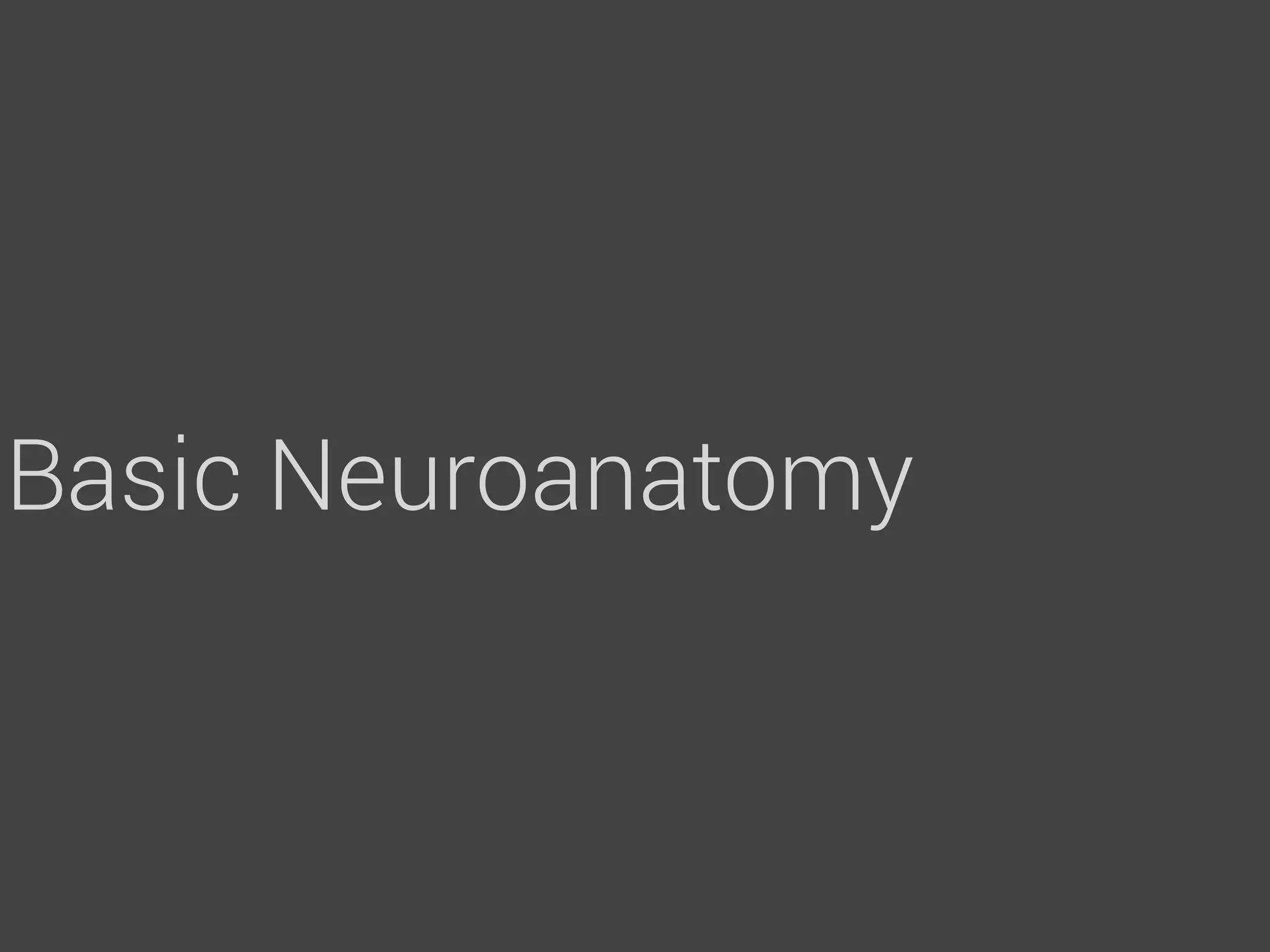 Basic Neuroanatomy | PDF | Brain and Nervous System Disorders ...