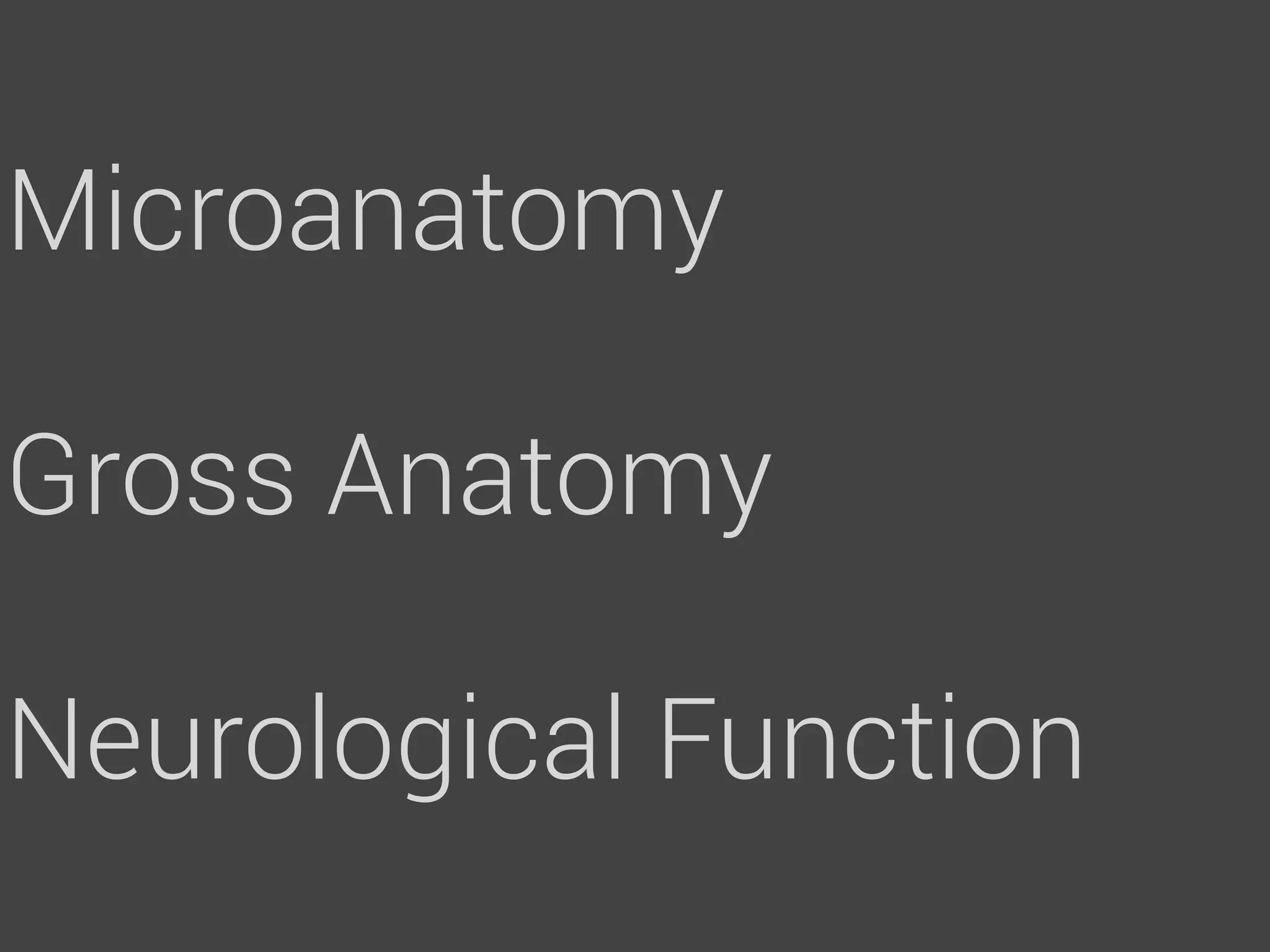 Basic Neuroanatomy | PDF