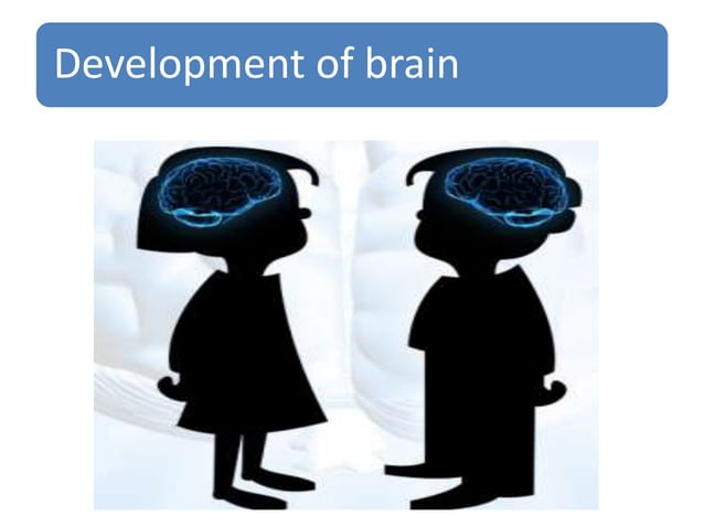 Basic neuroanatomy & neurophysiology | PPTX