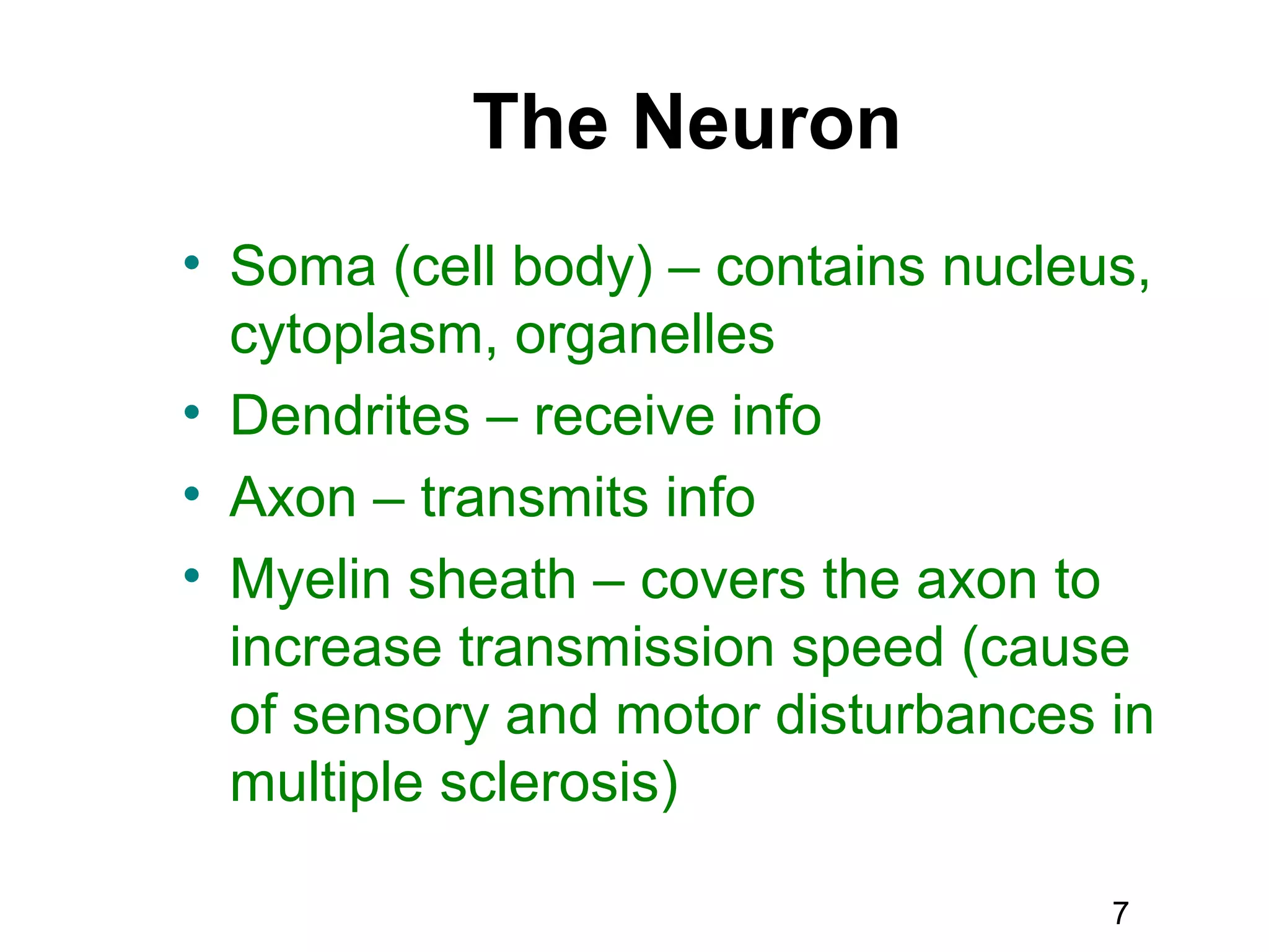 Basic neurochemistry | PPT