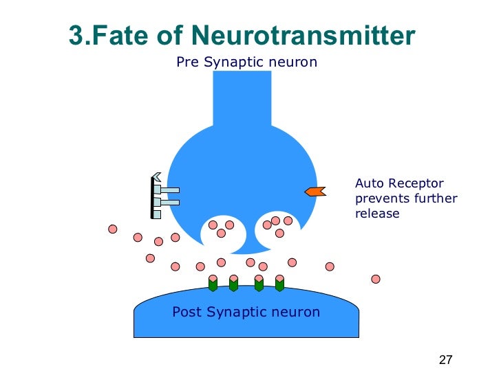 Basic neurochemistry