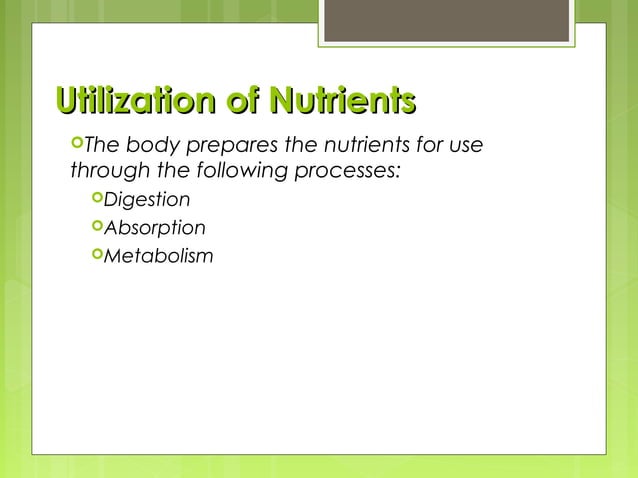 Basic Nutrition | PPT