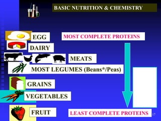 Basic Nutrition.pdf