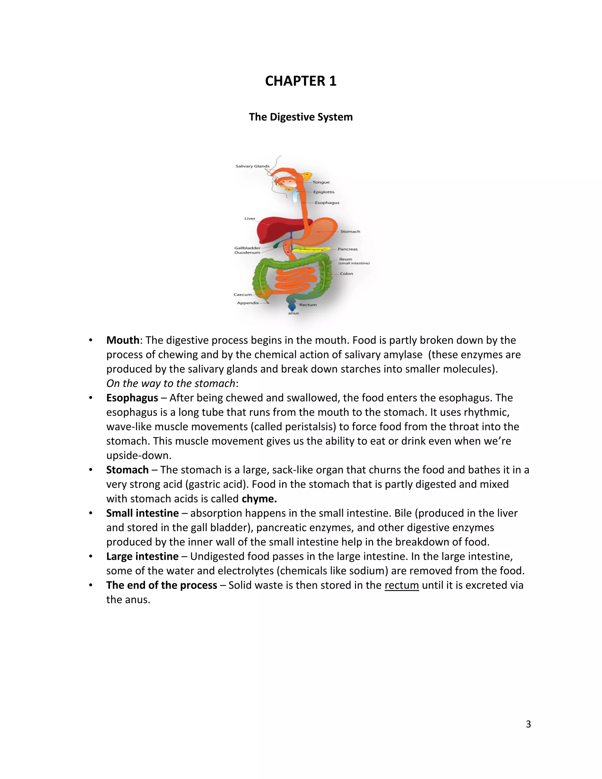 Basic nutrition (pdf) | PDF