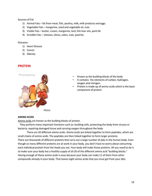 Basic nutrition (pdf) | PDF