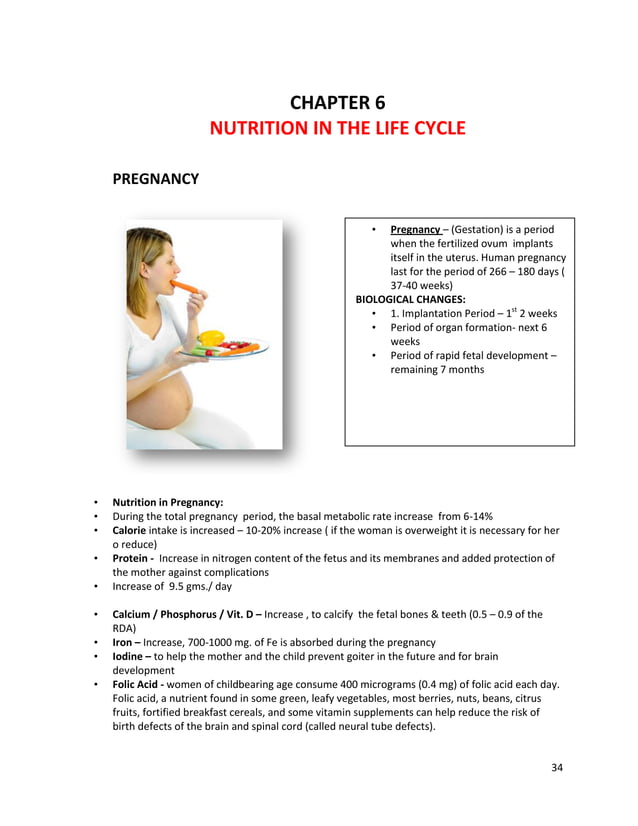 Basic nutrition (pdf) | PDF