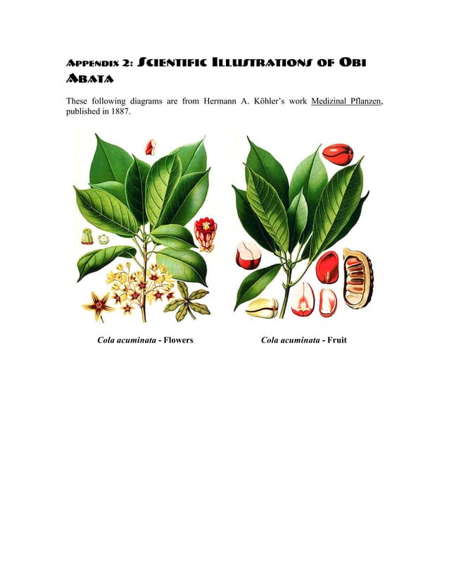 Basic obi abata_divination | PDF | Hinduism | Religion & Spirituality