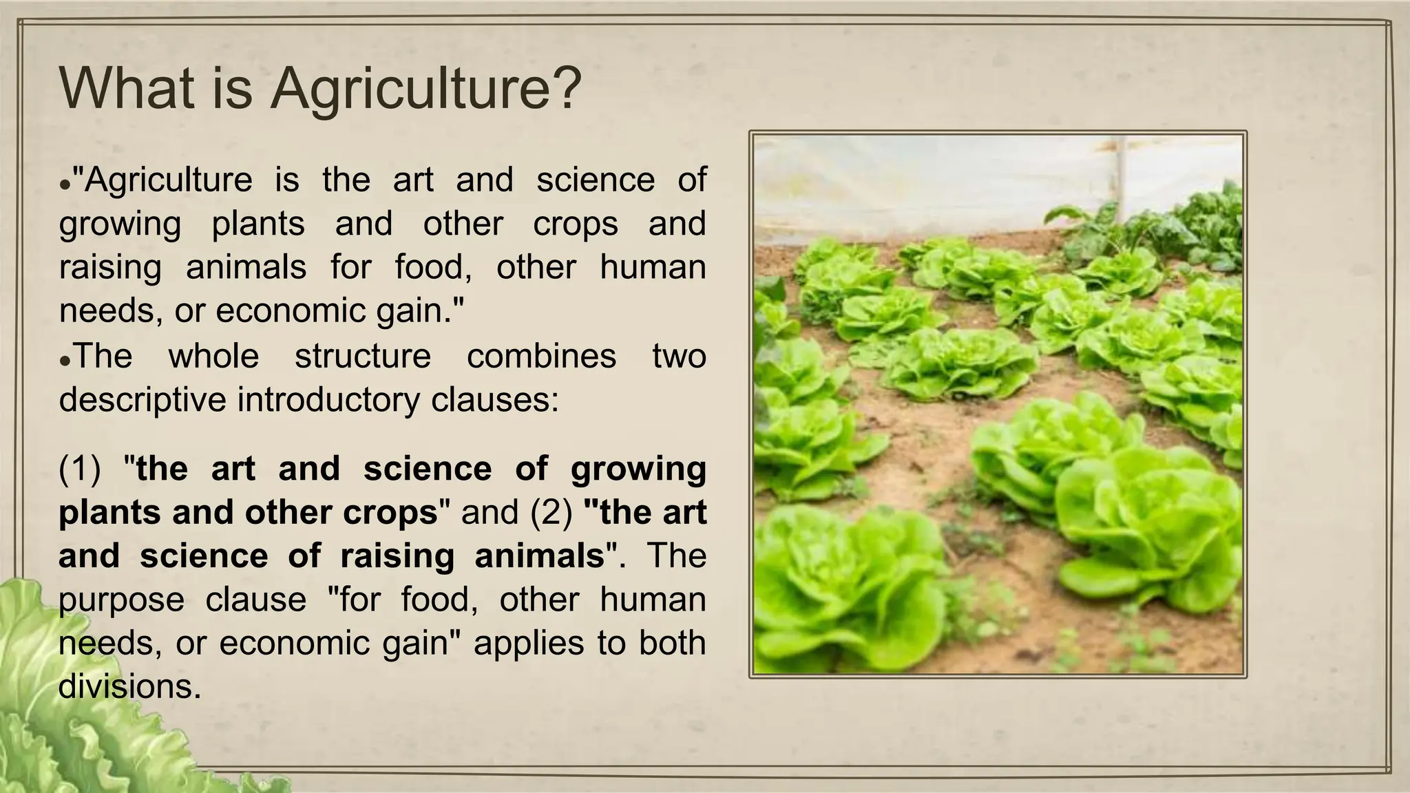 BASICS IN AGRICULTURE AND UNDERSTANDING THE SCOCE.pptx