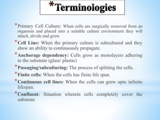 Basic of animal cell culture part I | PPTX