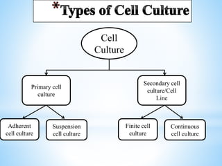 Basic of animal cell culture part I | PPTX
