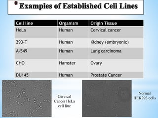 Basic of animal cell culture part I | PPTX
