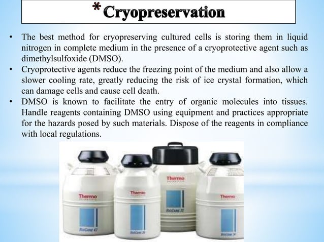 Basic of animal cell culture part iii | PPTX | Biological Sciences ...