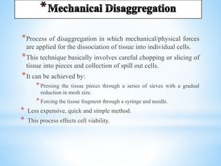 Basic of animal cell culture part iii | PPTX