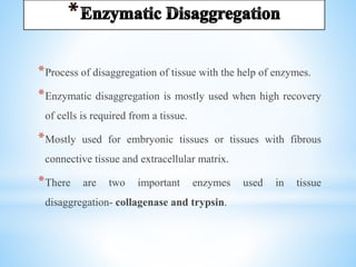 Basic of animal cell culture part iii | PPTX