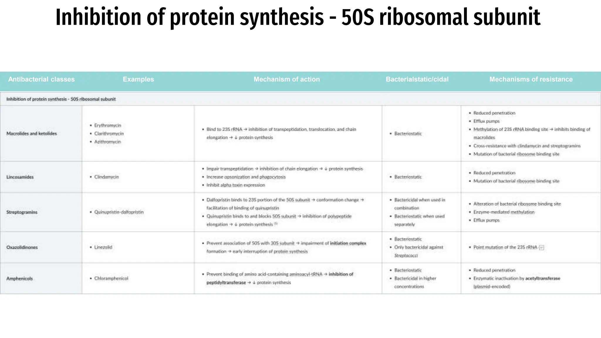 Basic of Antibiotic.pptx , review of antibiotics | PPTX