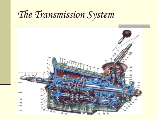 Basic of automobile.ppt | Auto Body Styles | Automotive