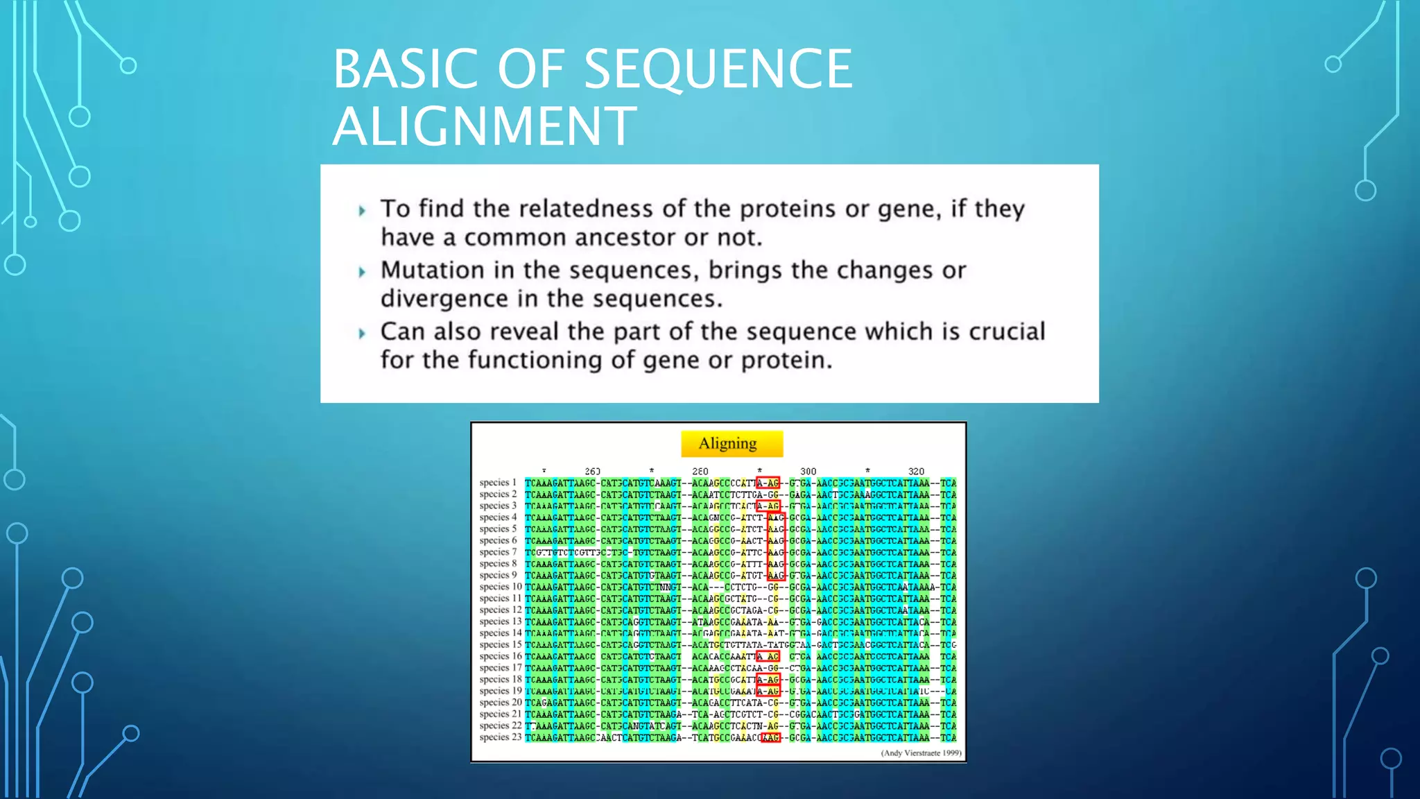 BASIC OF BIOINFORMATICS.pptx