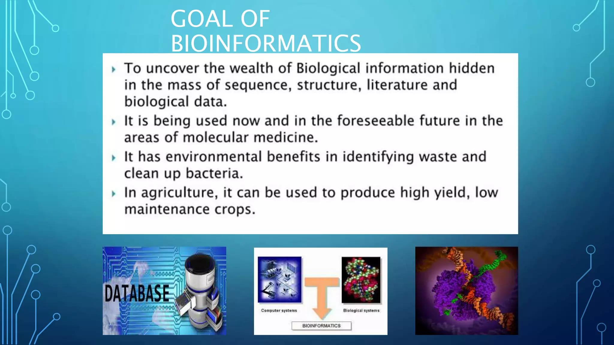 BASIC OF BIOINFORMATICS.pptx