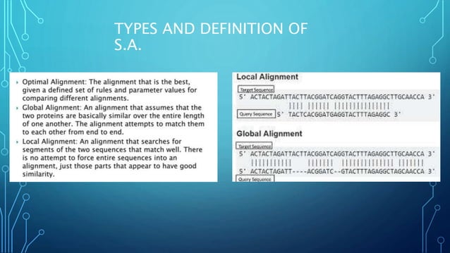 BASIC OF BIOINFORMATICS.pptx