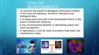 BASIC OF BIOINFORMATICS.pptx