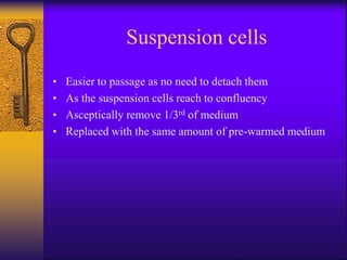 Basic of Cell Culture (1).ppt