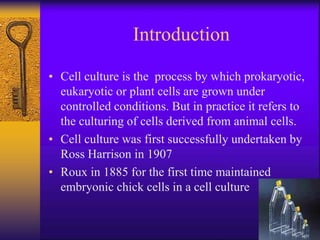 Basic of Cell Culture (1).ppt