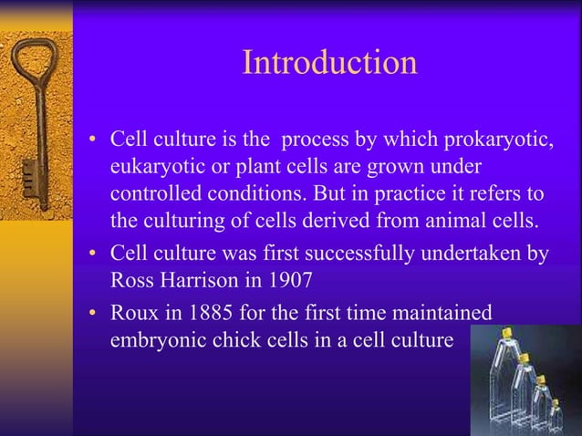 Basic of Cell Culture (1).ppt