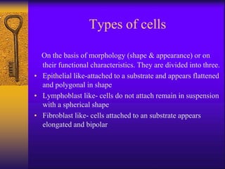 Basic of Cell Culture (1).ppt