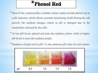 Basic of Animal cell culture part II | PPTX