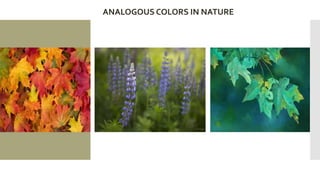 Basic of Color Theory and Color Analysis-MaHi.pptx