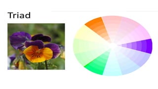 Basic of Color Theory and Color Analysis-MaHi.pptx