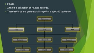 BASIC OF DATABASE PPT new.pptx