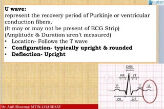 Basic of ecg interpretation | PPTX