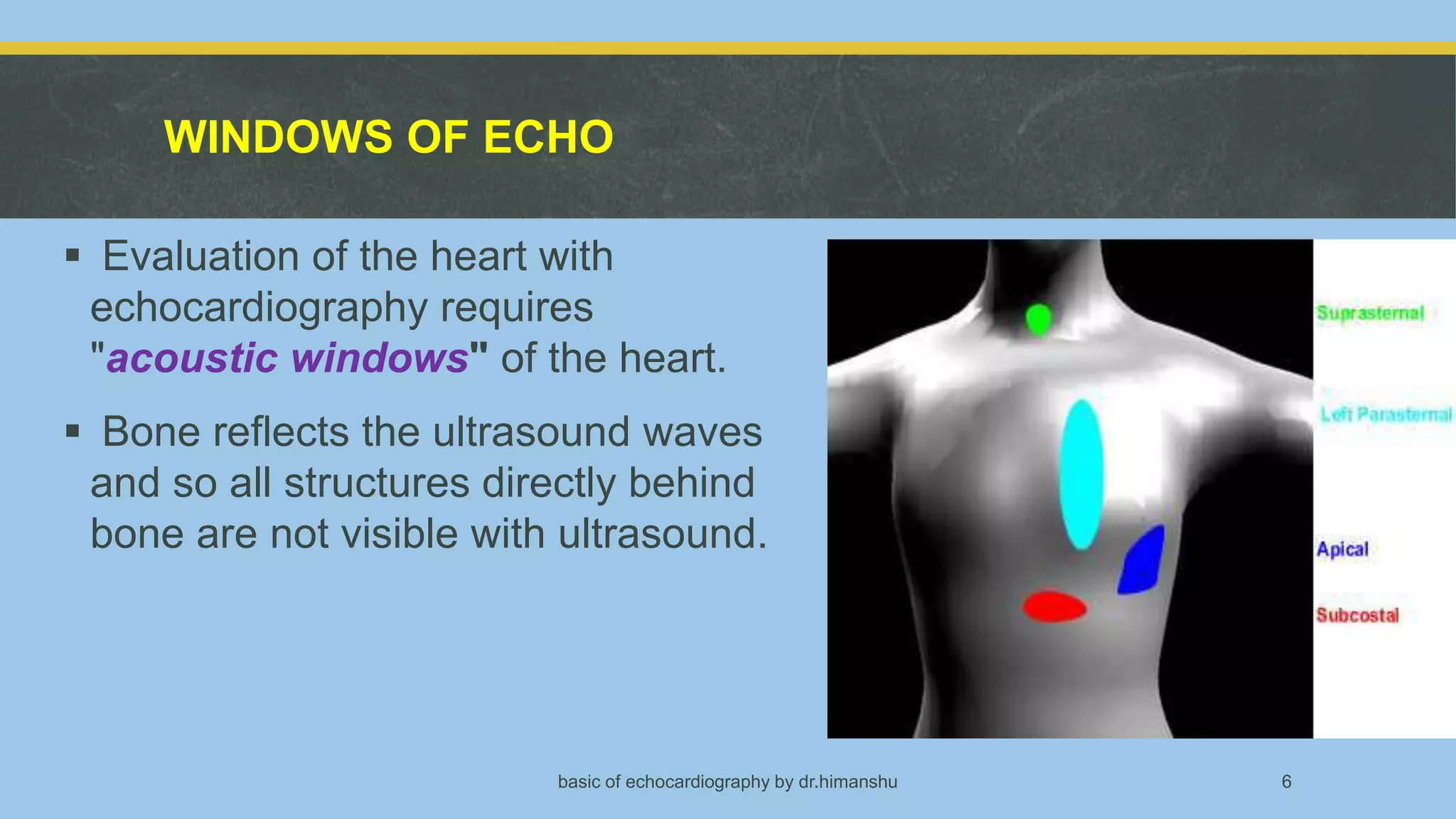 Echocardiography basics | PPTX | Digital Audio | Computer Software and ...