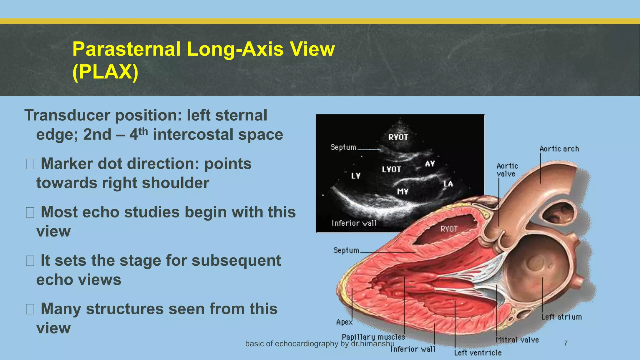 Echocardiography basics | PPTX