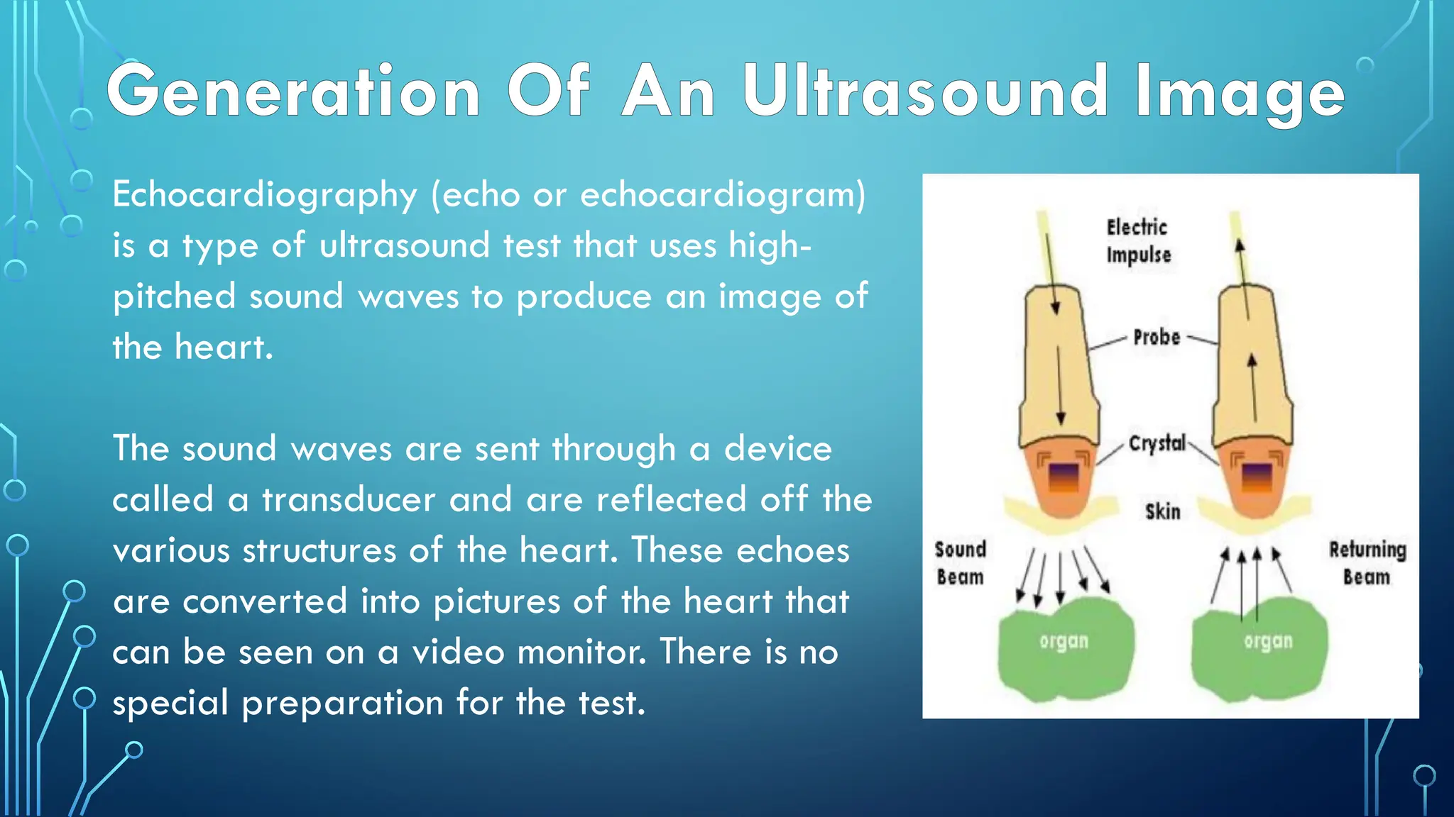 BASIC OF ECHOCARDIOGRAPHY nice to know.pptx