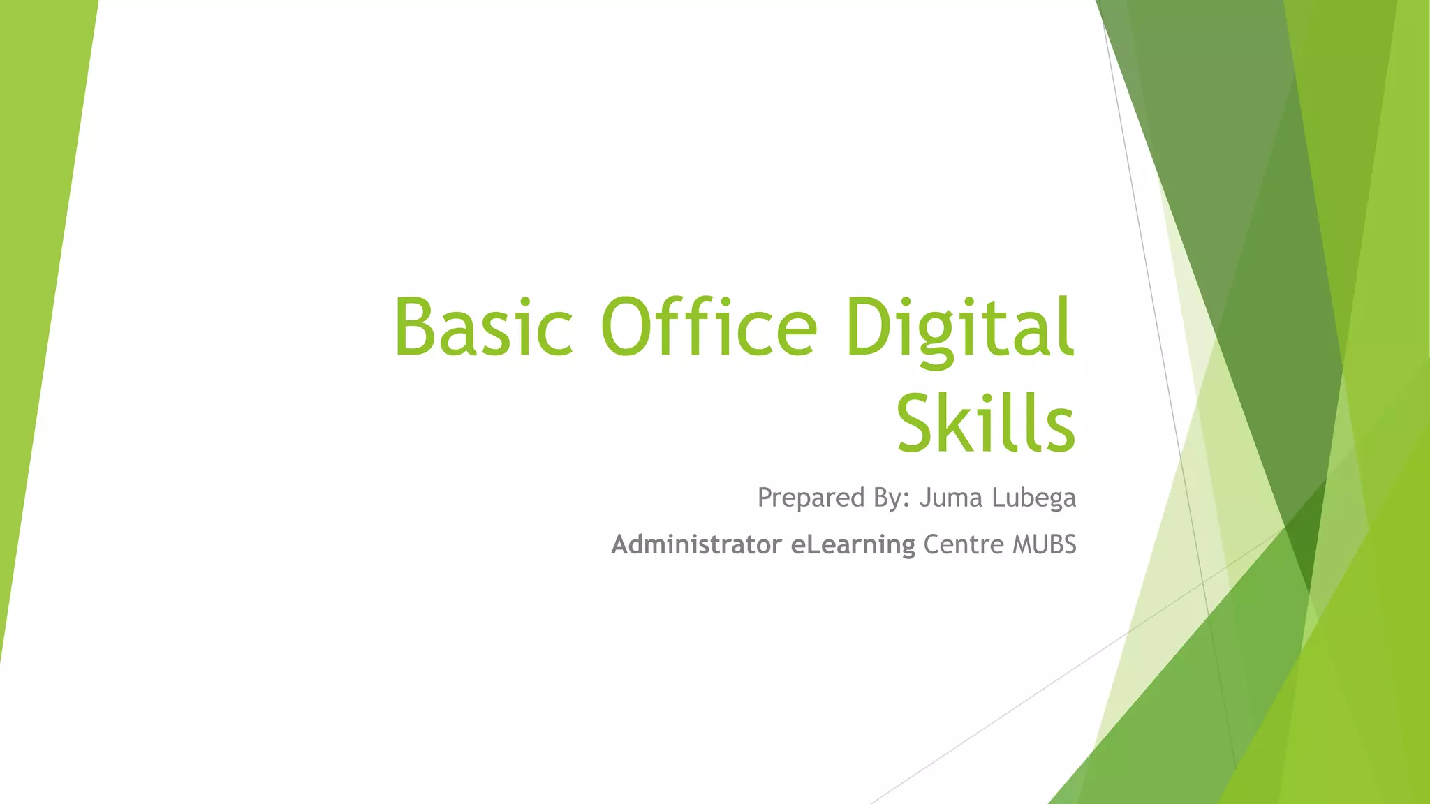 Basic Office Digital Skills.pptx