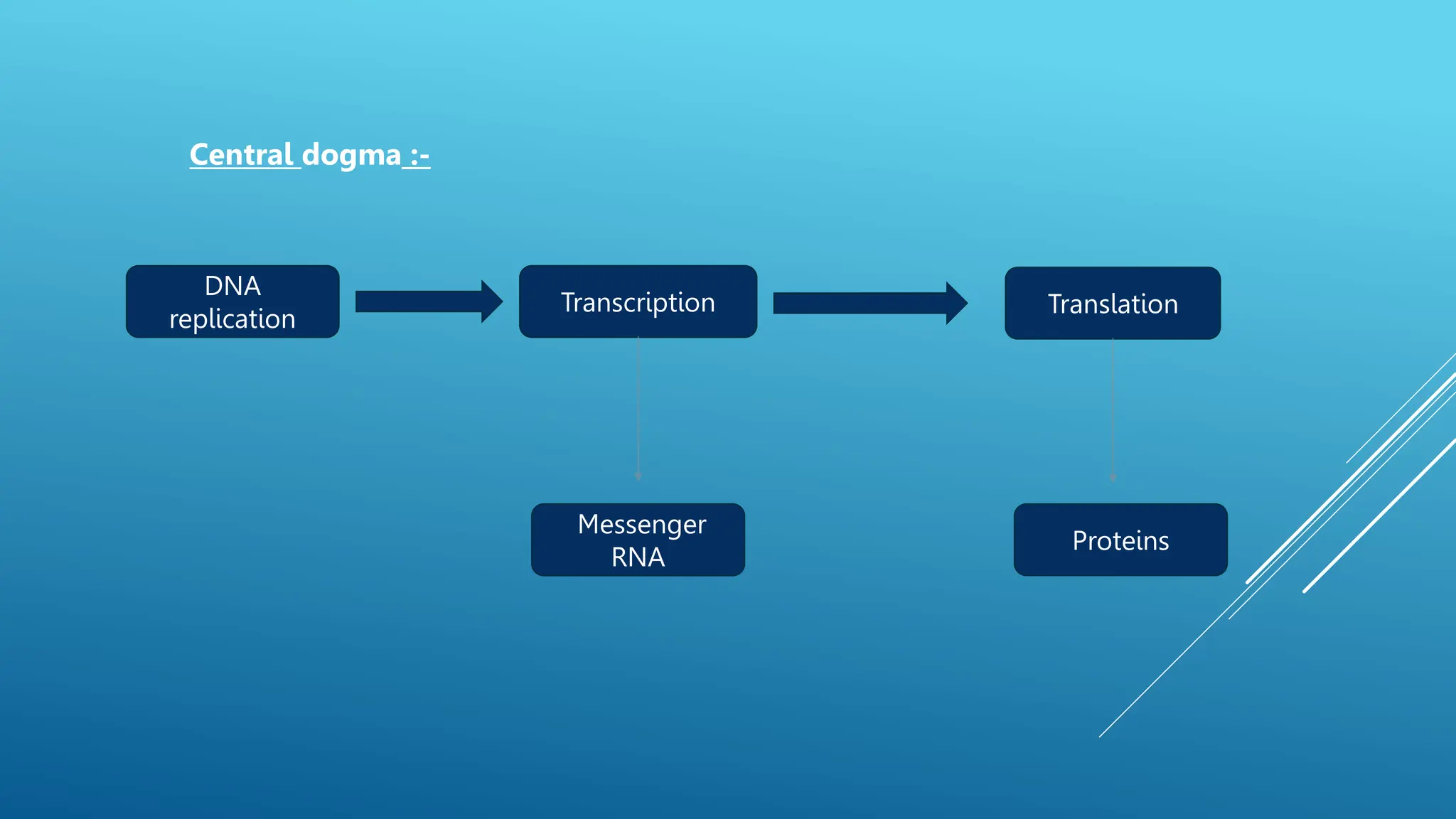 Basic Of Genetic.pptx ..story starting . | PPTX | Genetics | Science