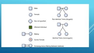 Basic Of Genetic.pptx ..story starting . | PPTX | Genetics | Science