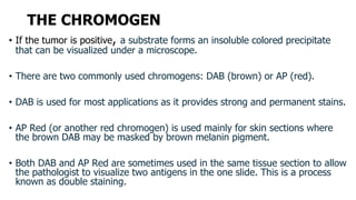 BASIC OF IHC BY GEORGE YEABYO-ETHIOPIA.pptx