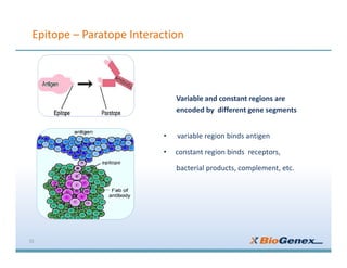Basic of immunology | PDF