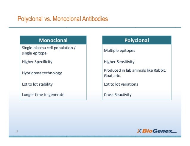 Difference Between Monoclonal And Polyclonal Antibodies