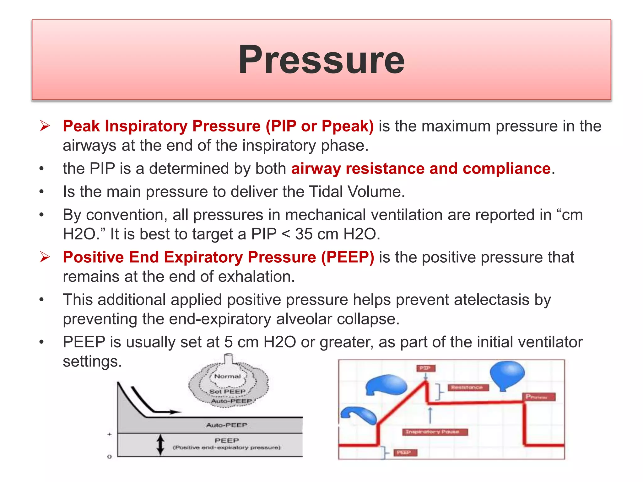 Basic of mechanical ventilation | PPTX