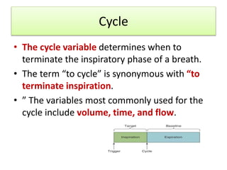 Basic of mechanical ventilation | PPTX