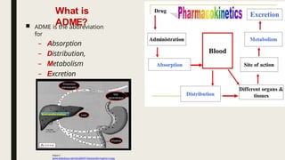 Basic OF medicinal Chemistry and drug II.pptx