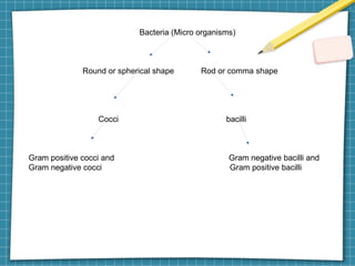 Basic of microbiology part -1 | PPT