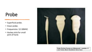 Basics of MSUS musculoskeletal ultrasound Dr Marwa Abo Elmaaty Besar ...